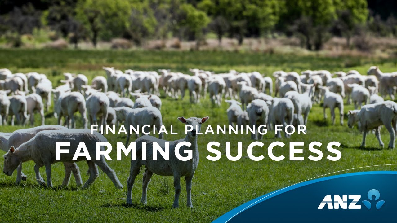Financial planning for farming success - Bouncing back and thriving ...