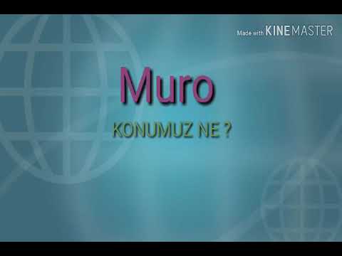 Muro - Konumuz Ne ? (Cover)