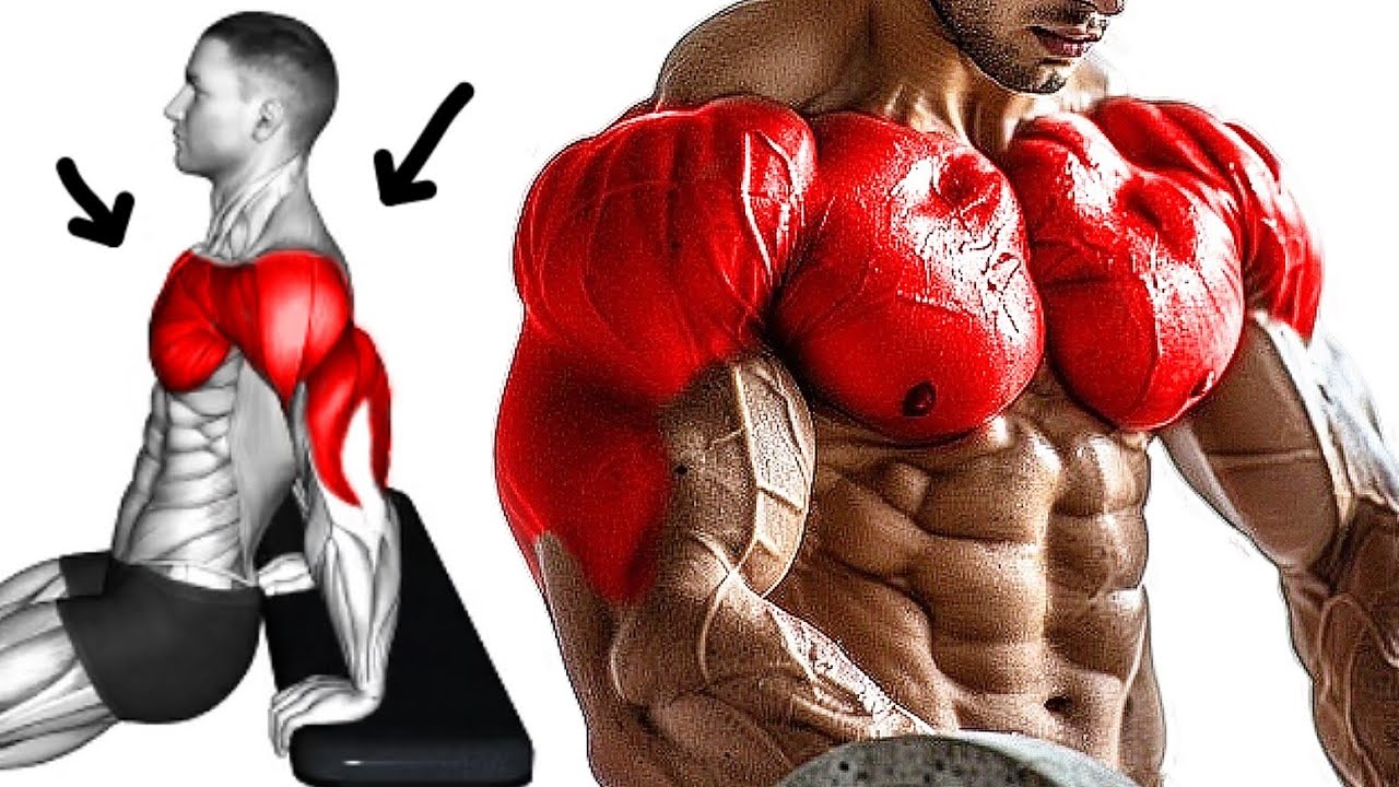 Best Push Workout Day at Gym To Build Muscles Fast - YouTube