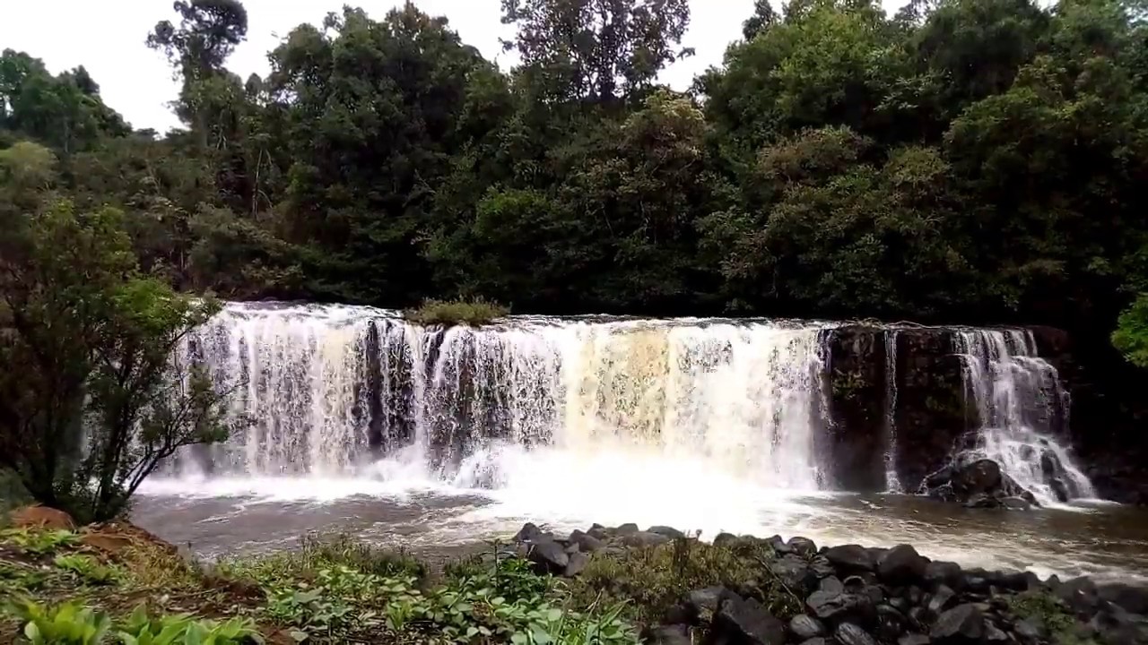 Amazing Nature Video Clips | Relaxing Music With Nature Sound - YouTube