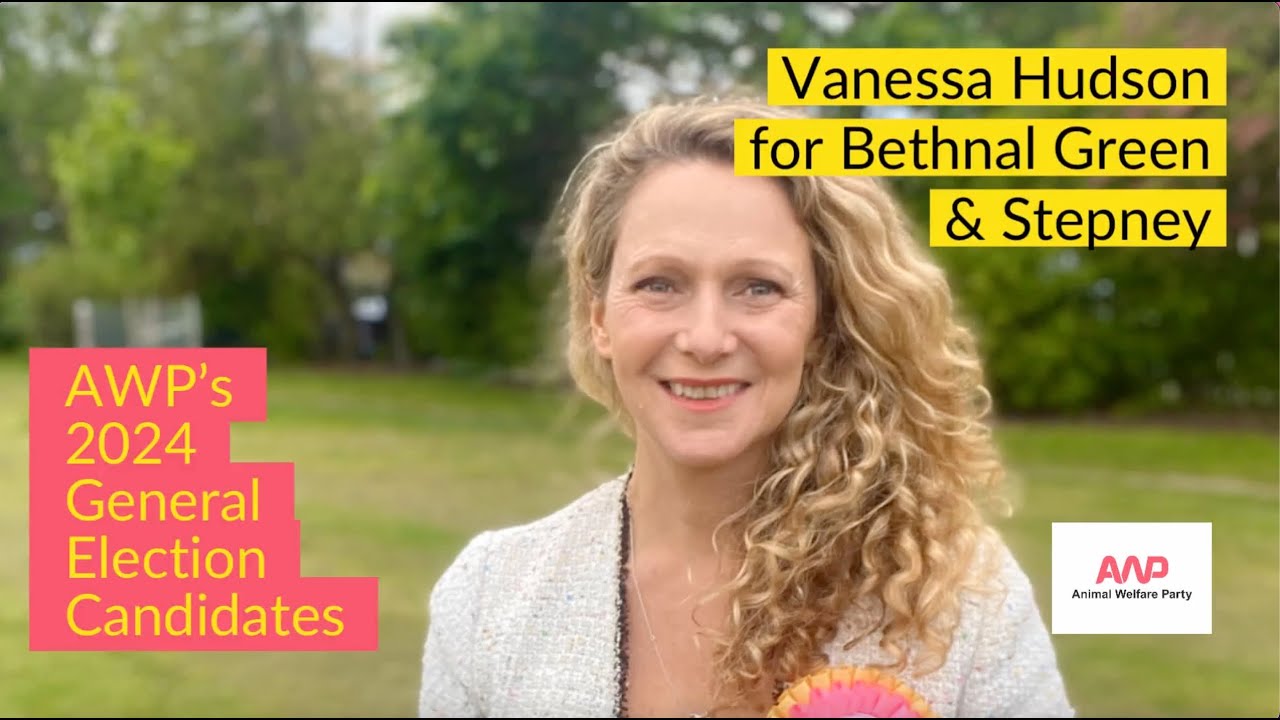 AWP's 2024 General Election Candidates - YouTube