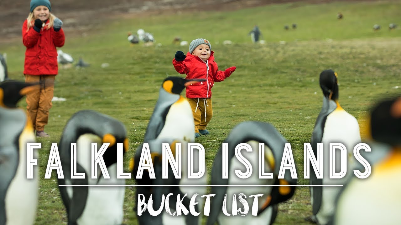 BABY LEARNS TO WALK WITH PENGUINS!! - YouTube