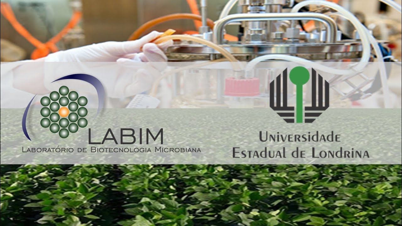 Laboratório de Biotecnologia Microbiana - LABIM/UEL - YouTube