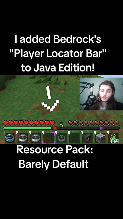 Bedrock's Player Locator Bar in Java Edition. Resource pack: Barely ...