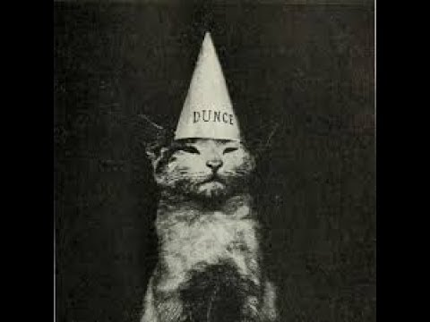 The DUNCE CAP OF THE MONTH & YEAR AWARD - The Correct Views 01/14/2019 ...