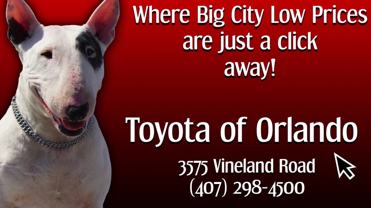 Employee Spotlight: Todd Bobo - YouTube