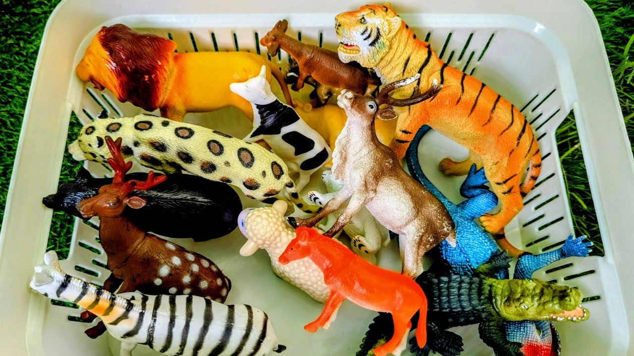 Learn Farm And Zoo Animals Together – Educational Video for Toddlers ...