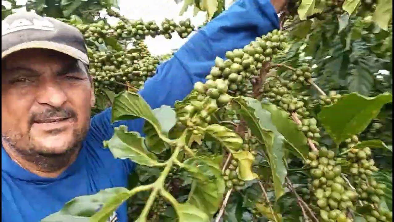 TODO MUNDO FALA QUE O LB1 DAR FERRUGEM, só gue agui não tem FERRUGEM - YouTube