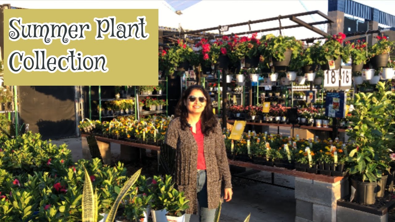 Visit to Garden Center: Summer Plant Collection - YouTube