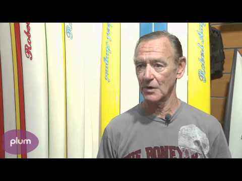 Welcome to Mossad-ALF´s funny little blog...: SURFERS 1965 robert ...