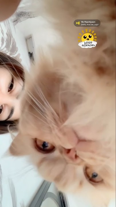 Mai aur mera bilota 🥹🙈♥️ - YouTube