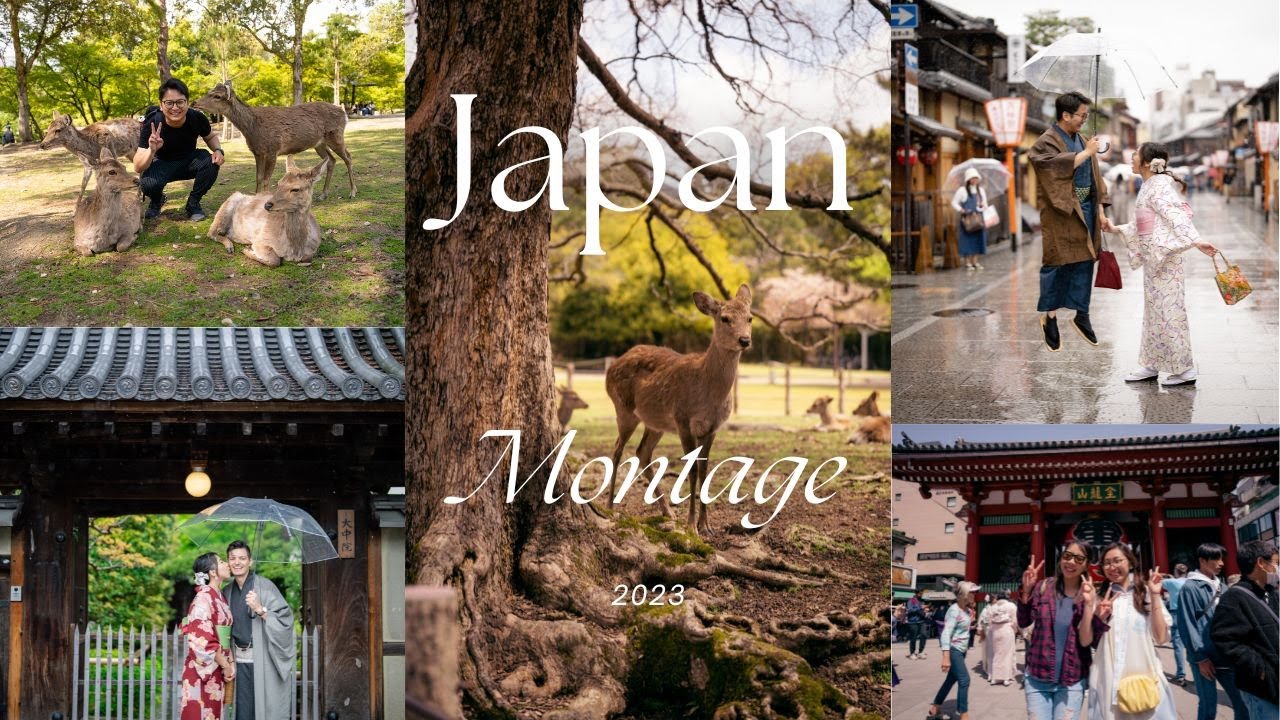 Japan Montage Speedramp 2023 (Tokyo, Kyoto, Nara, Osaka) 4K UHD - YouTube