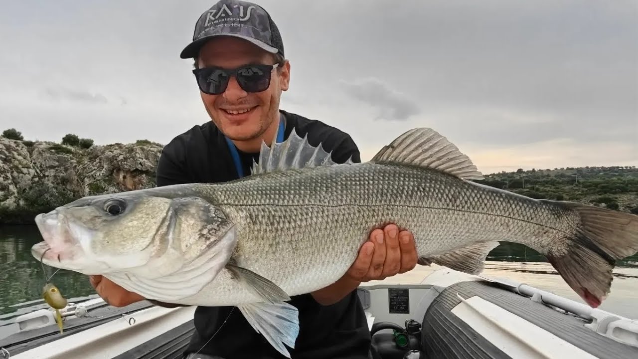 ΛΑΒΡΑΚΙ ΤΡΟΠΑΙΟ | με ΤΡΕΛΑΝΕ🤪 | Personal Best on WEEDLESS FISHING🎣 ...