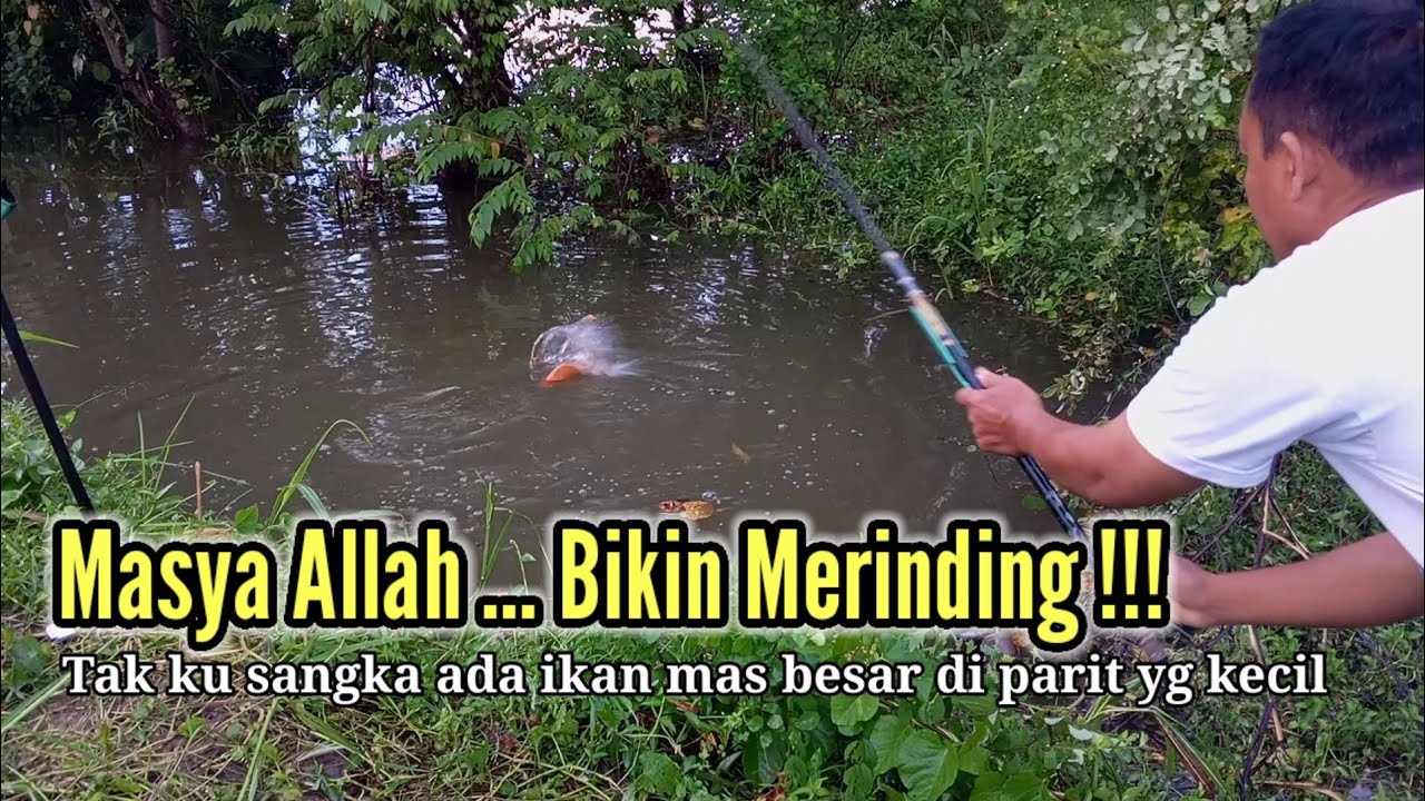 Begini jadinya mancing di spot banjiran, udah kayak mancing di tambak ...