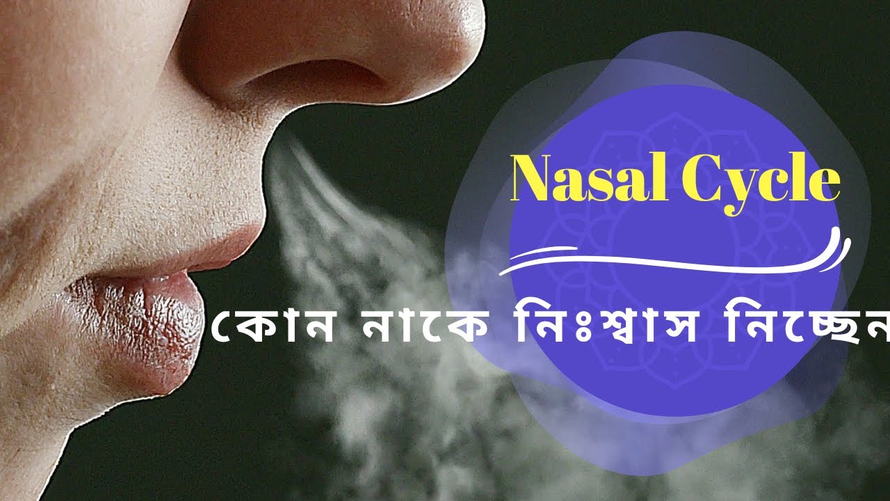 কোন নাকে নিঃশ্বাস নিচ্ছেন ? Nasal Cycle| Yoga Therapy | Bengali ...