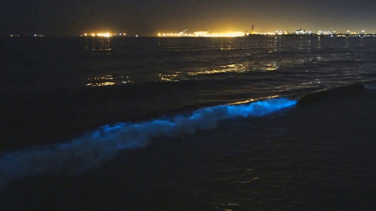 Glowing waves- - YouTube