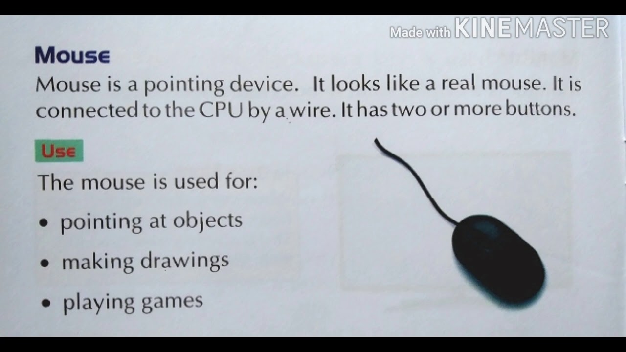 VEMS Std 2nd Uses Of Mouse YouTube vems-std-2nd-uses-of-mouse-youtube