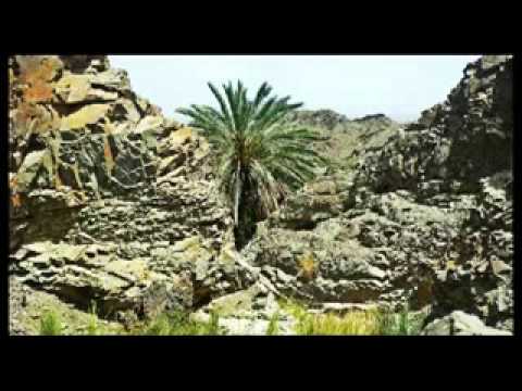 Pakistani Mulla Tariq Jameel's speaking in Khuzdar area of occupied ...