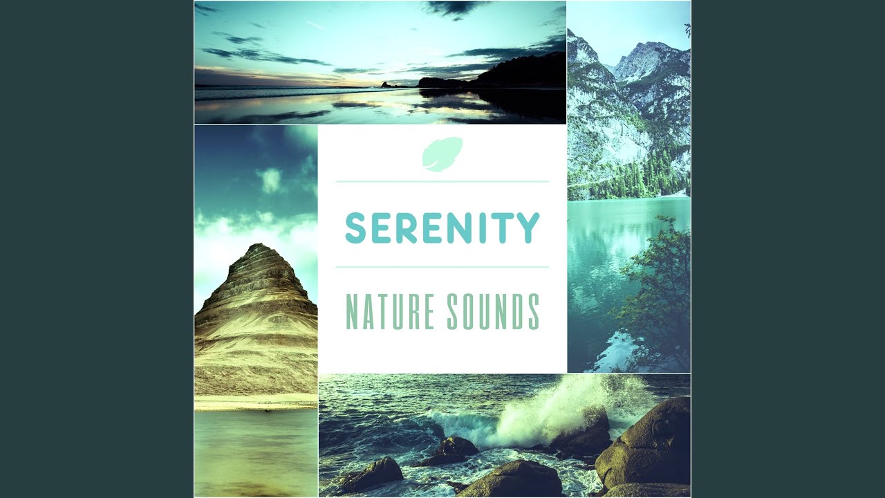 Nature Sounds - YouTube Music