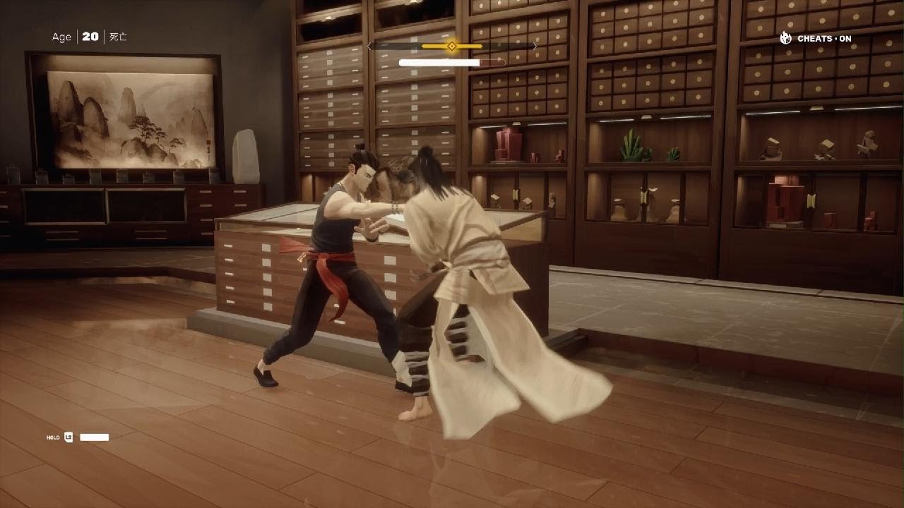 Sifu Yang Boss Fight - YouTube