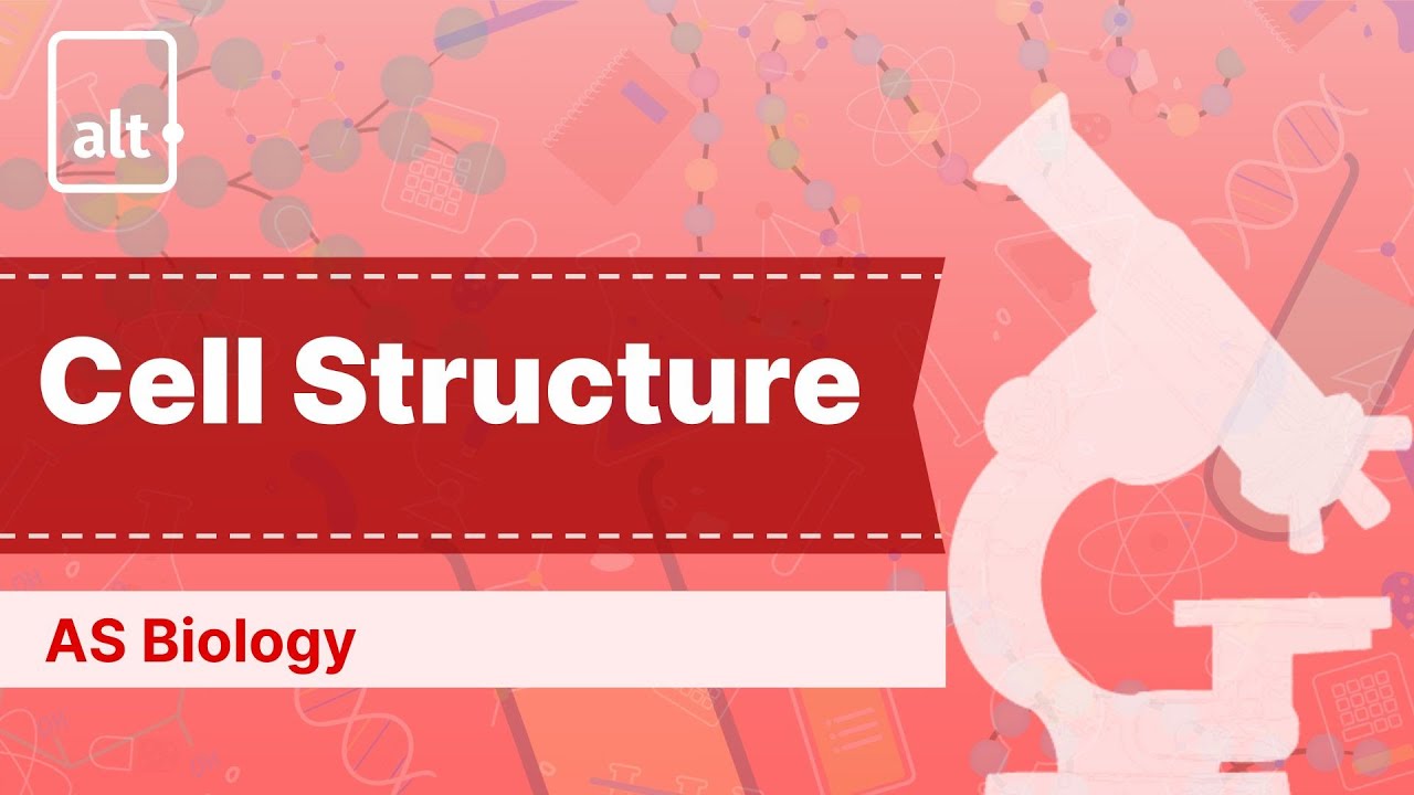 Introduction to Cell Structure, Cell Membrane, & Cytoplasm | Cell ...
