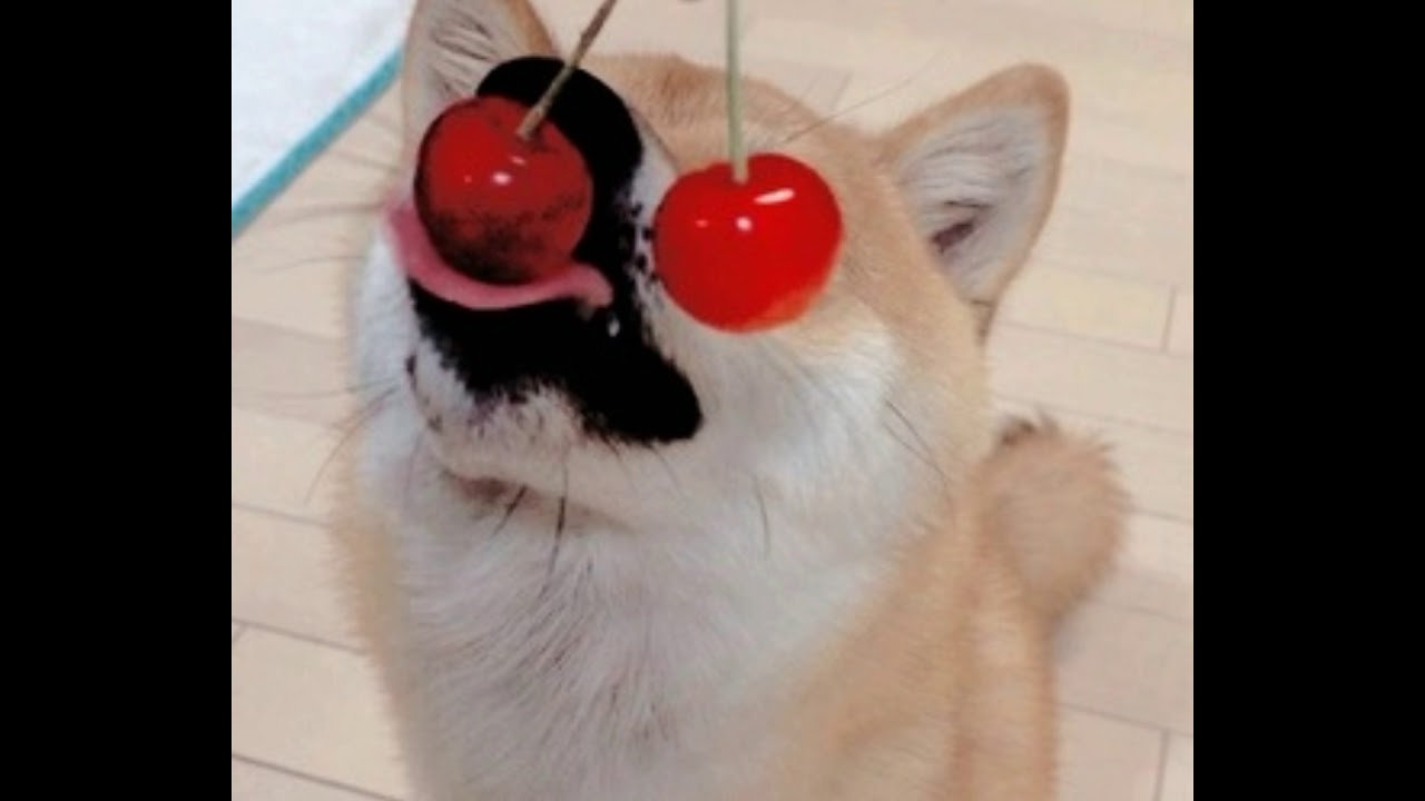 cavetown - fool [1 HOUR EDITION] - YouTube