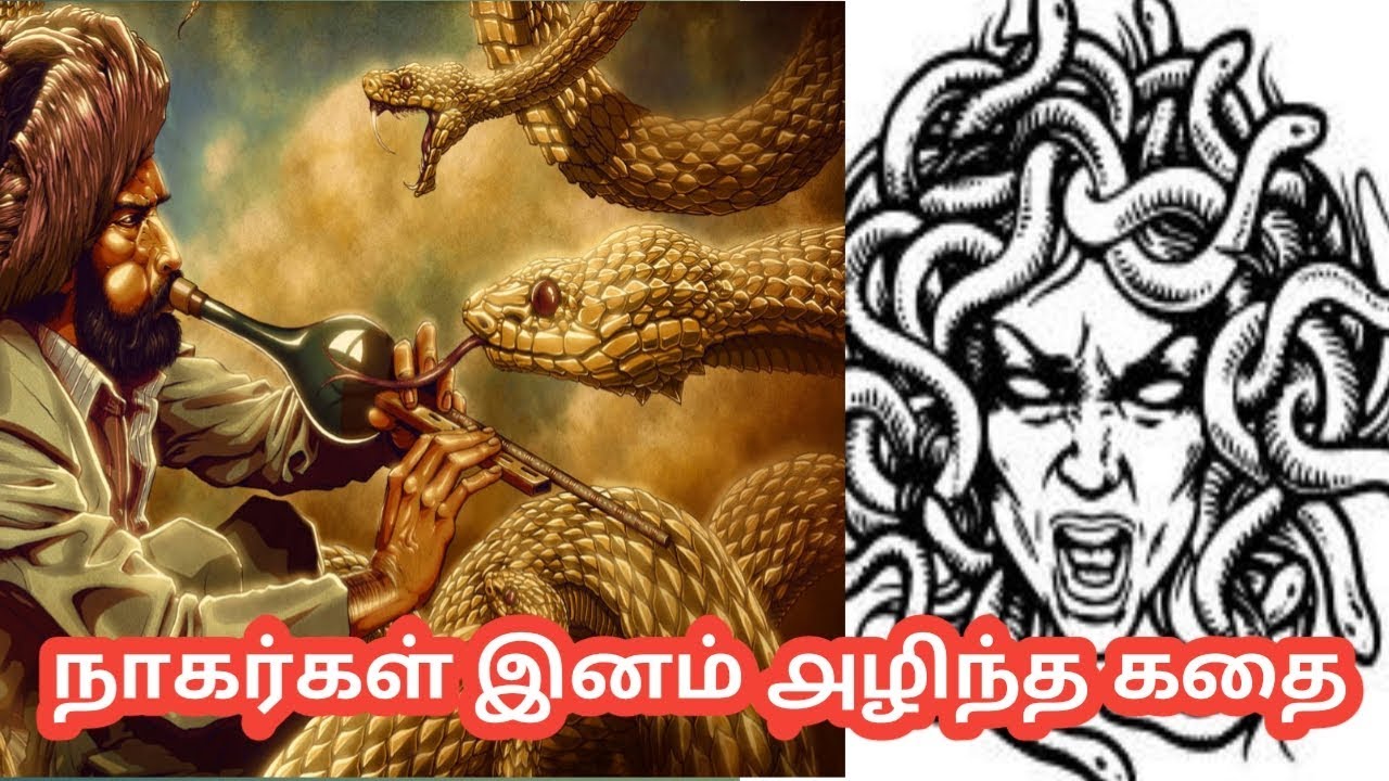 Nagargal history in tamil, snake history in tamil, agathiyan - YouTube