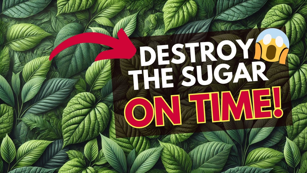 Blood Sugar EXPLODING? Discover These 6 Natural Plants Before It's Too Late! - YouTube