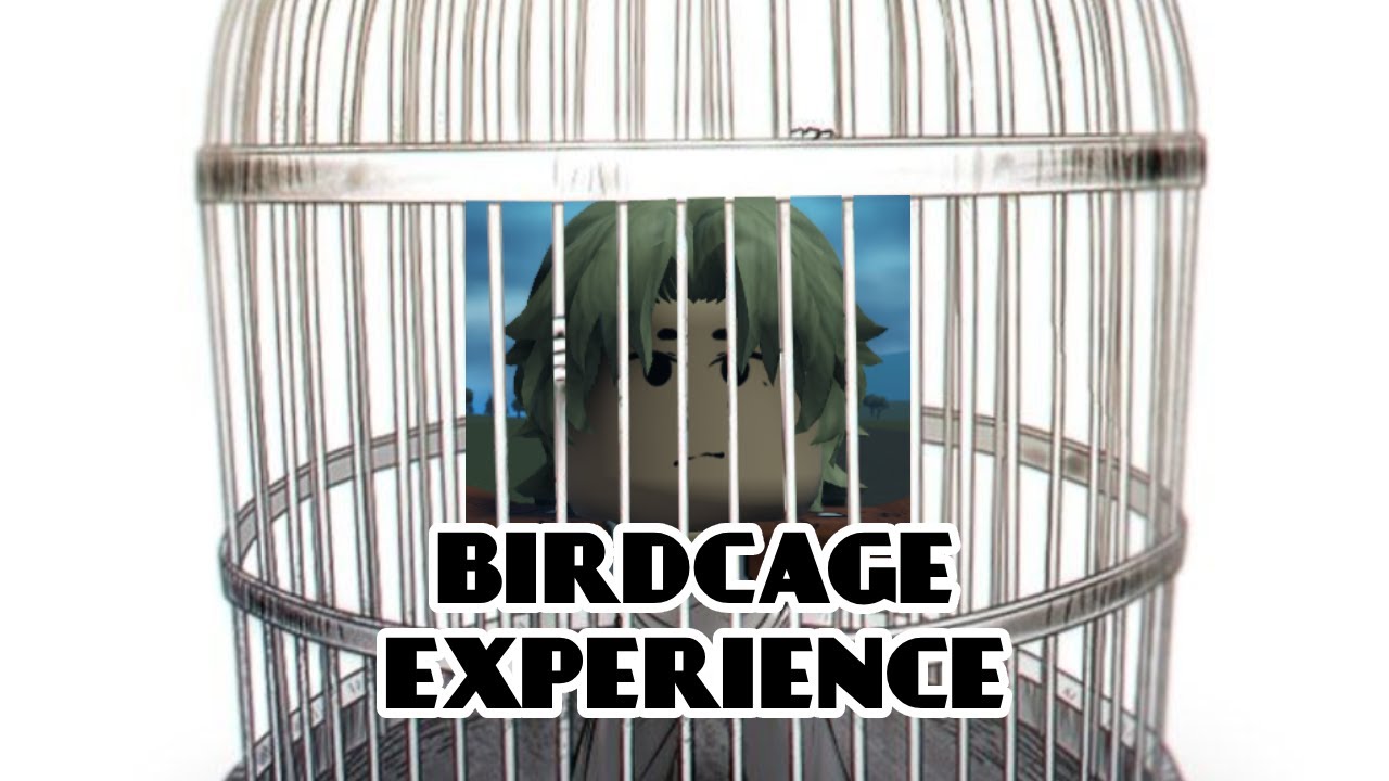 The Roblox Birdcage Experience - YouTube