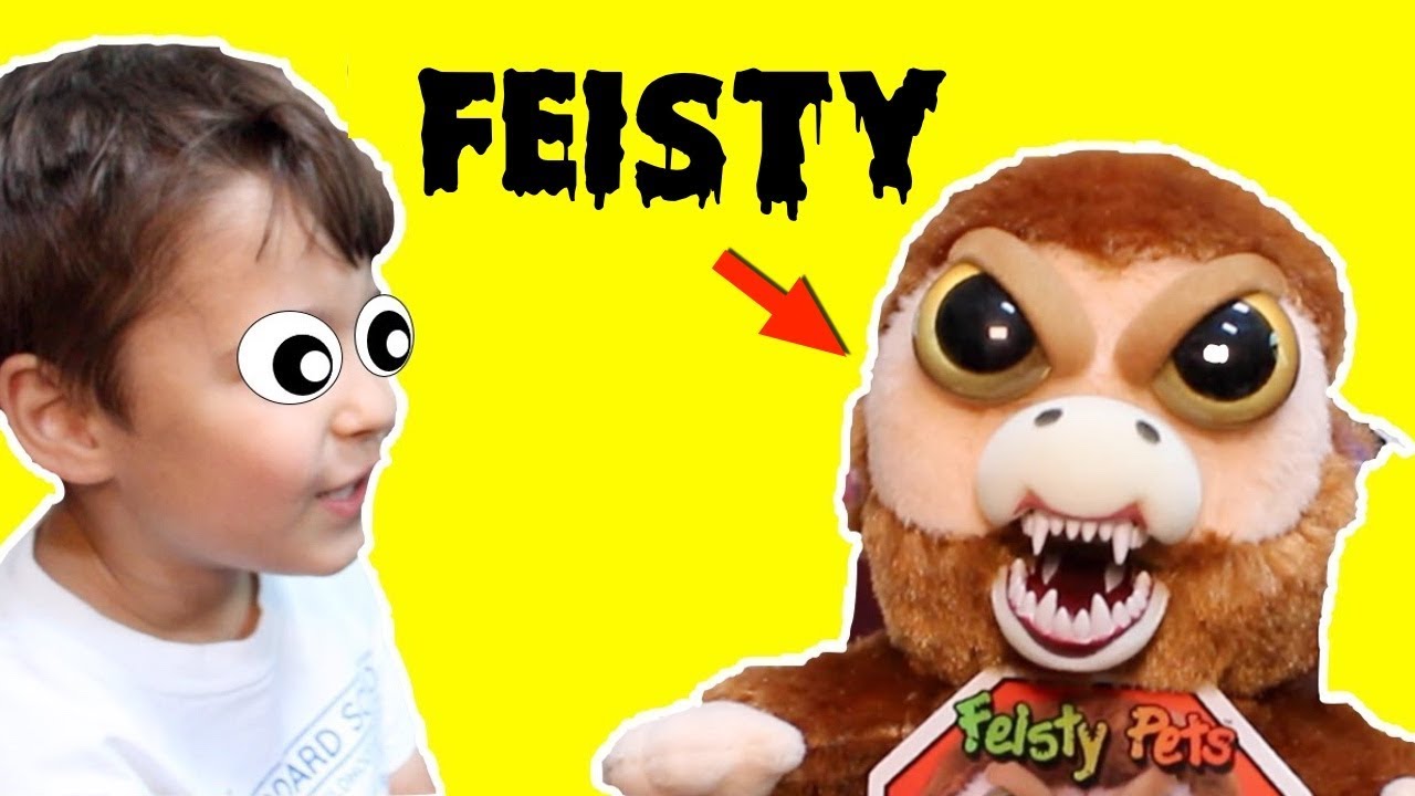 Feisty Pets 'Stuffed Animals" Scare Kids - YouTube