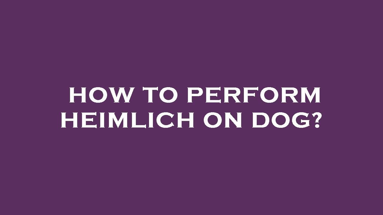 How to perform heimlich on dog? - YouTube