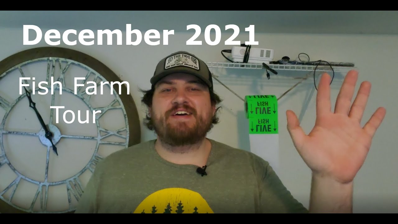December 2021 FISH FARM TOUR - YouTube