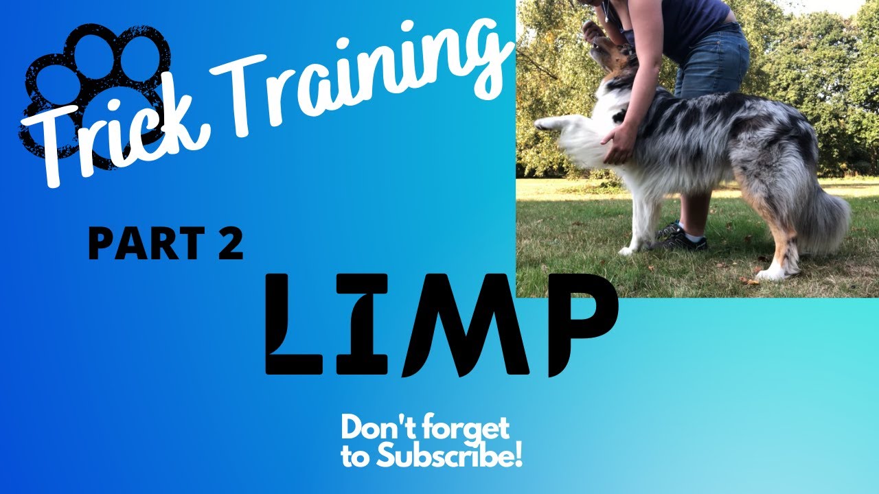 Limp - Dog Trick Training! (Part 2) - YouTube
