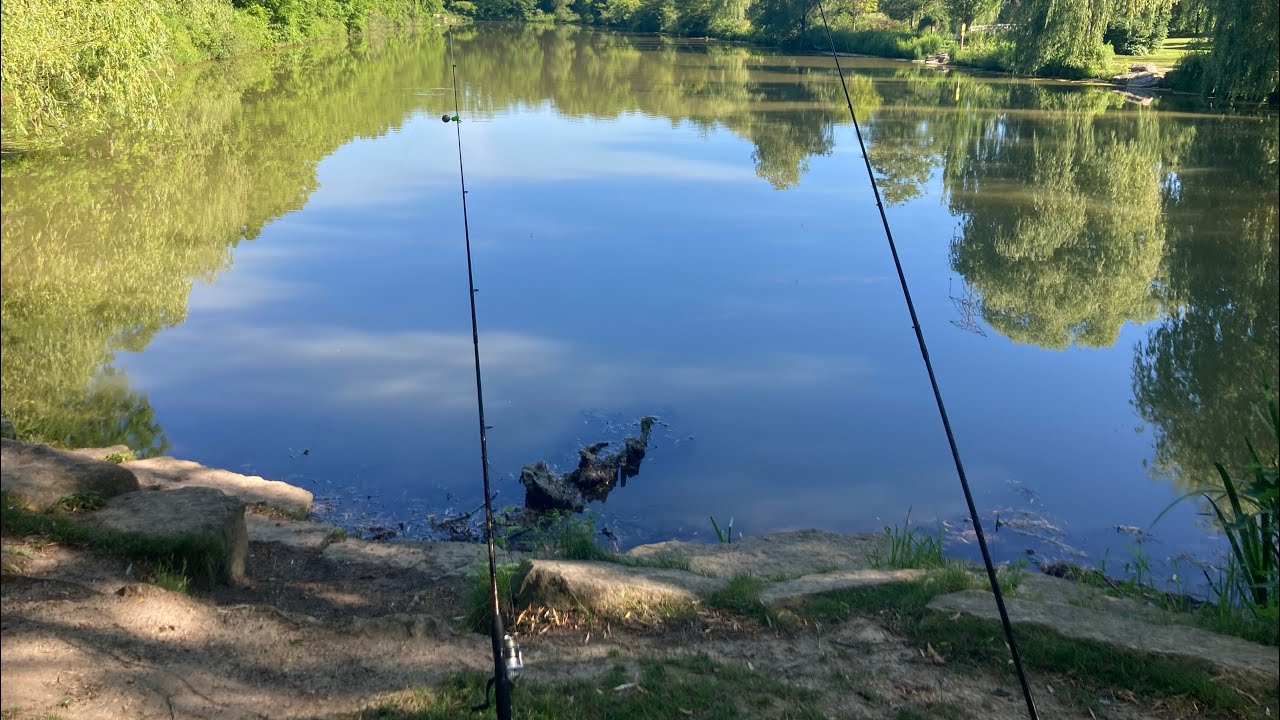 3 DAYS OF CARP FISHING Thames River London and Kettle Creek St Thomas ...