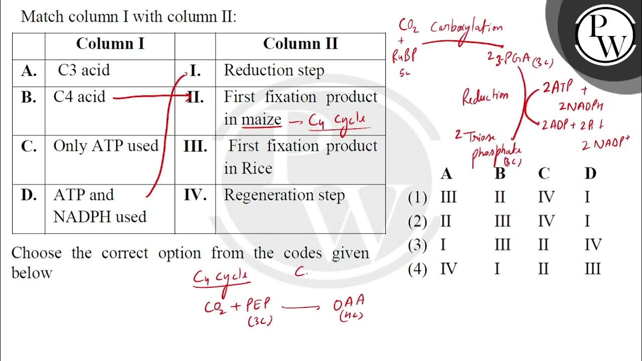 Match column I with column II: \begin{tabular}{|l|l|c|l|} \hline & \multicolumn{1}{|c|}{ Column ...
