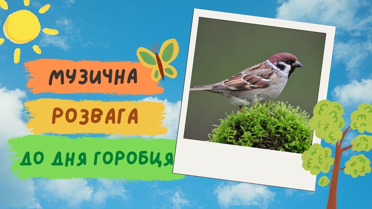 Музична розвага до дня горобця Youtube