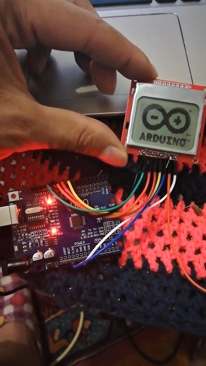 I Built a DIY Arduino Egg Incubator - YouTube