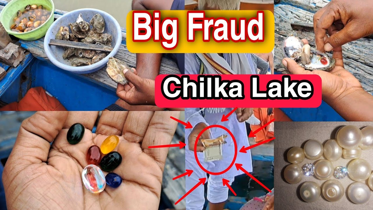 Gemstones and Pearl Fraud at Chilika Lake || Chilika Lake || Real ...