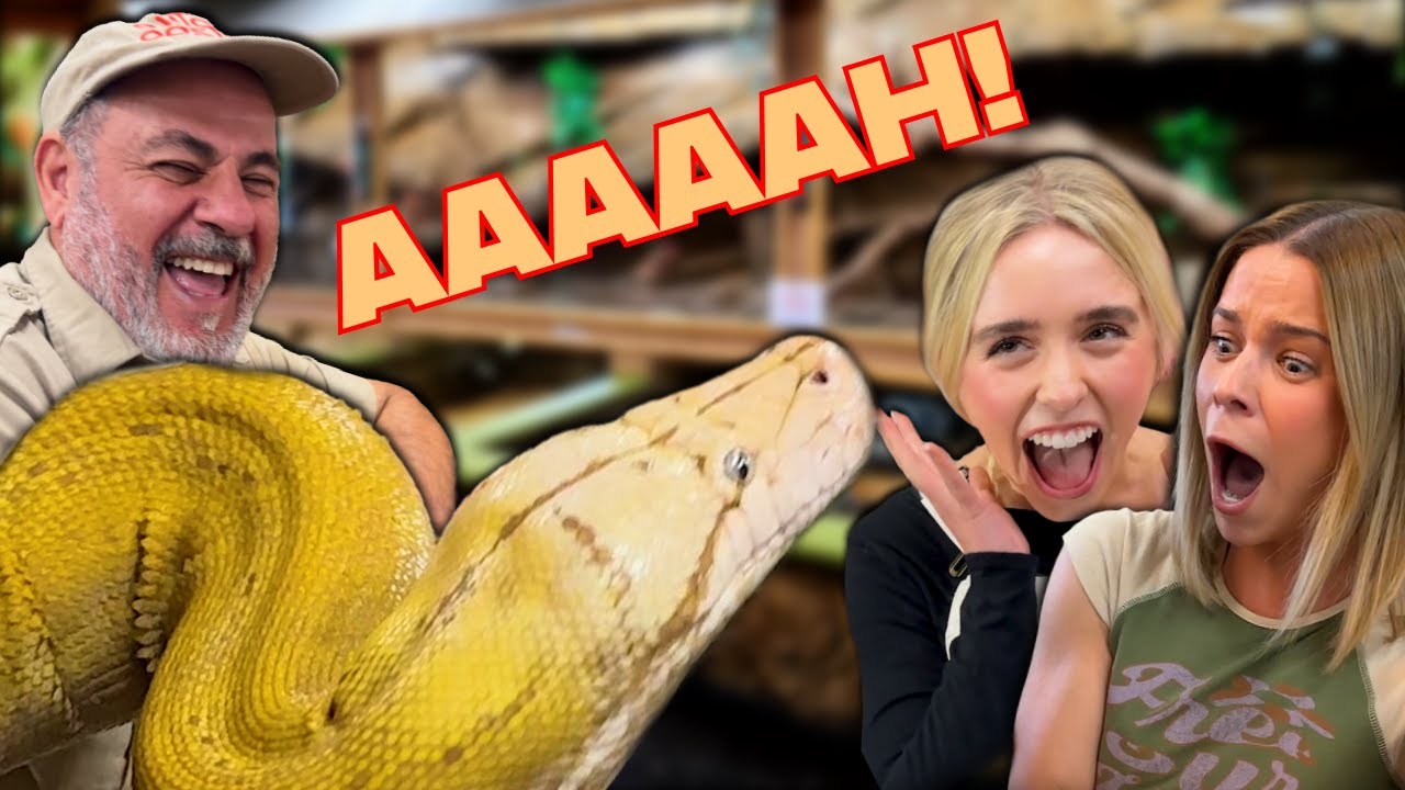 FACE TO FACE WITH A GIANT SNAKE😳 - YouTube