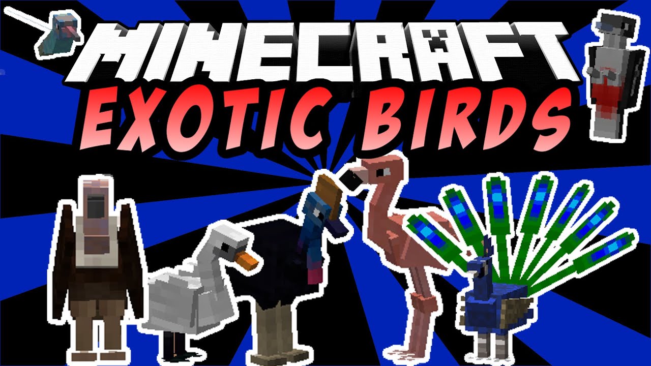 EXOTIC BIRDS: Cisnes, Correcaminos, Loros, Pavos Reales - Minecraft Mod ...