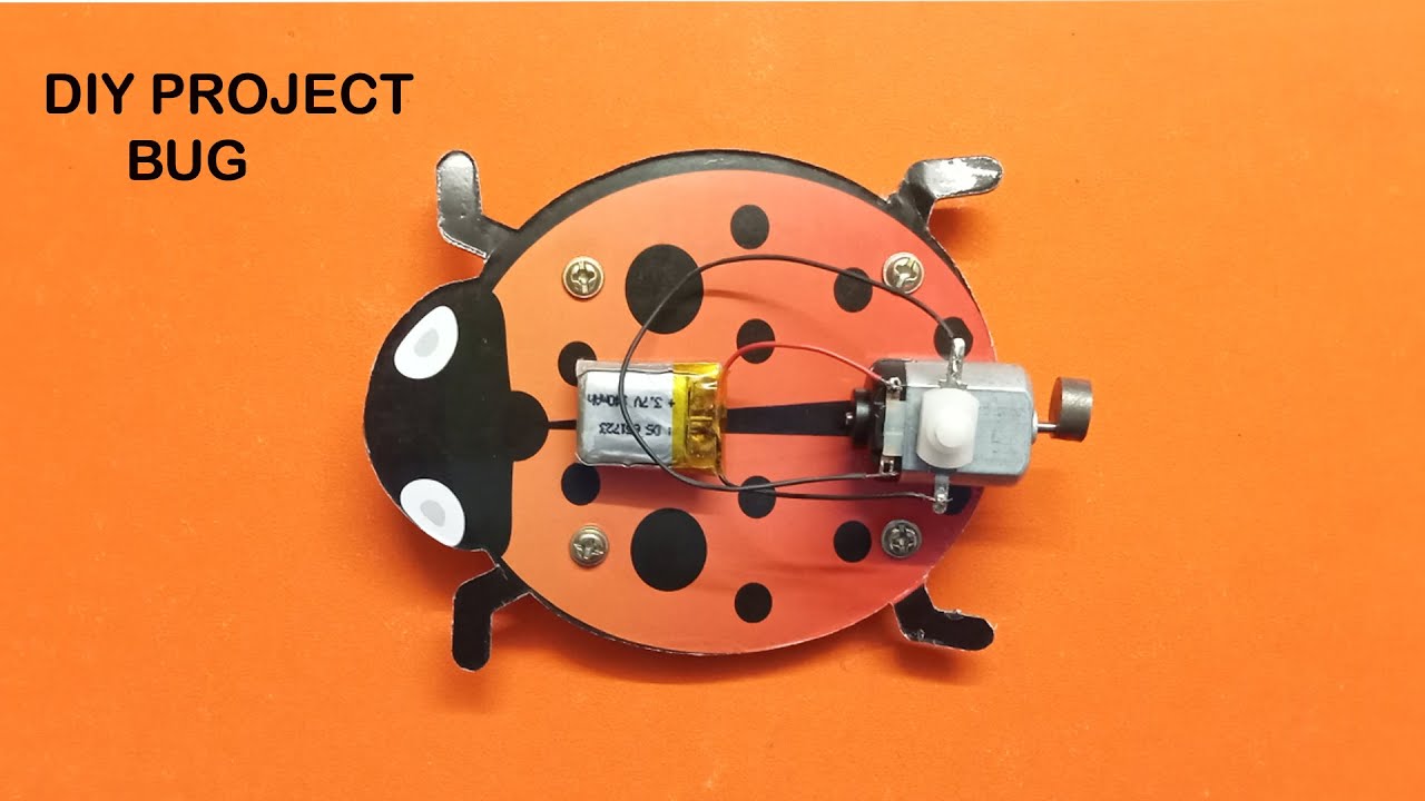 how to make cardboard bug diy project at home.. - YouTube