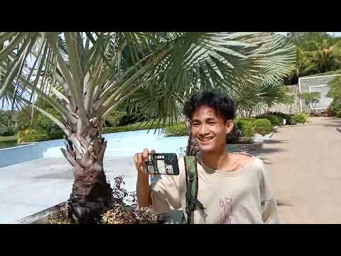 QUIRINO sports complex - YouTube
