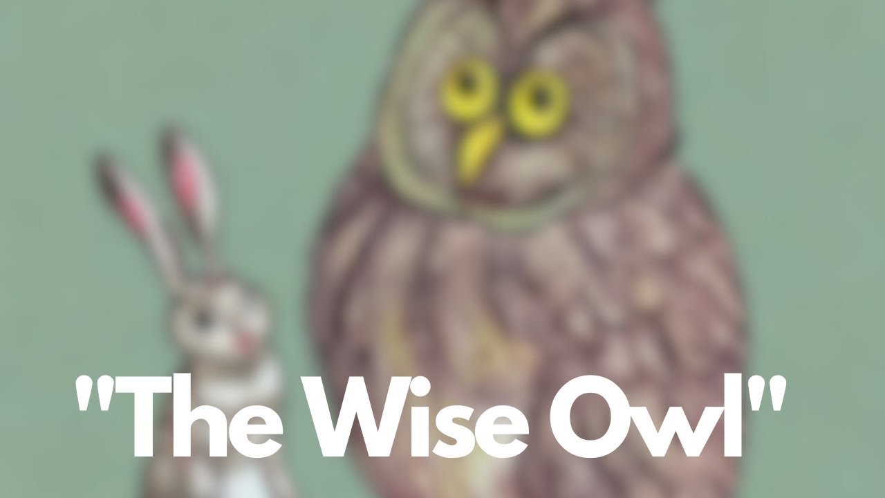 The Wise Old Owl: A Story About Believing in Yourself and Overcoming ...