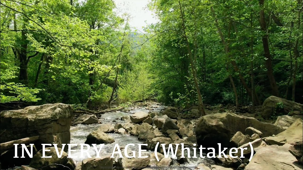 In Every Age, Janét Sullivan Whitaker Cover by Voices of Love, Cantor ...