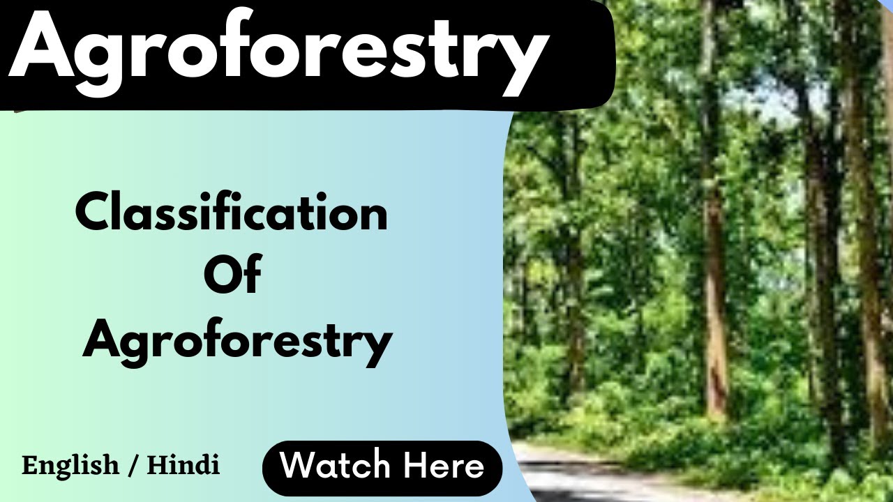 Classification of agroforestry || @scoringscience - YouTube