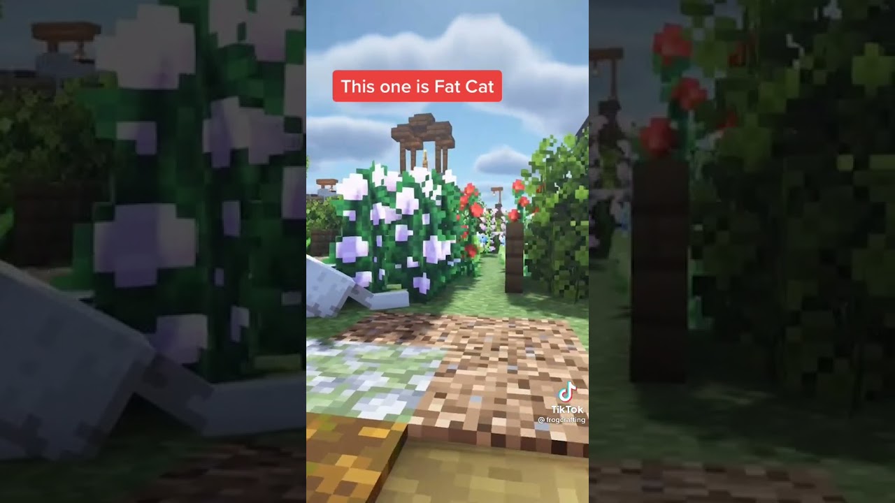 Fat Cat Resource Pack 💕 - YouTube