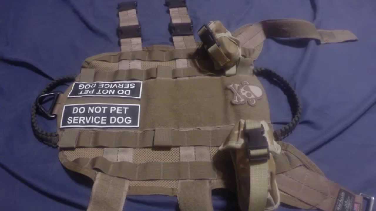 ray allen LLC dog harness - YouTube