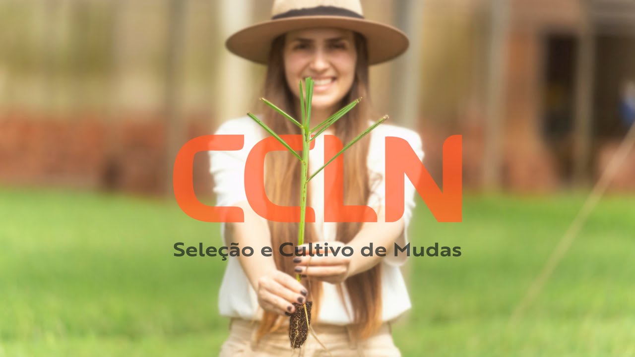 Institucional Grupo CCLN - YouTube