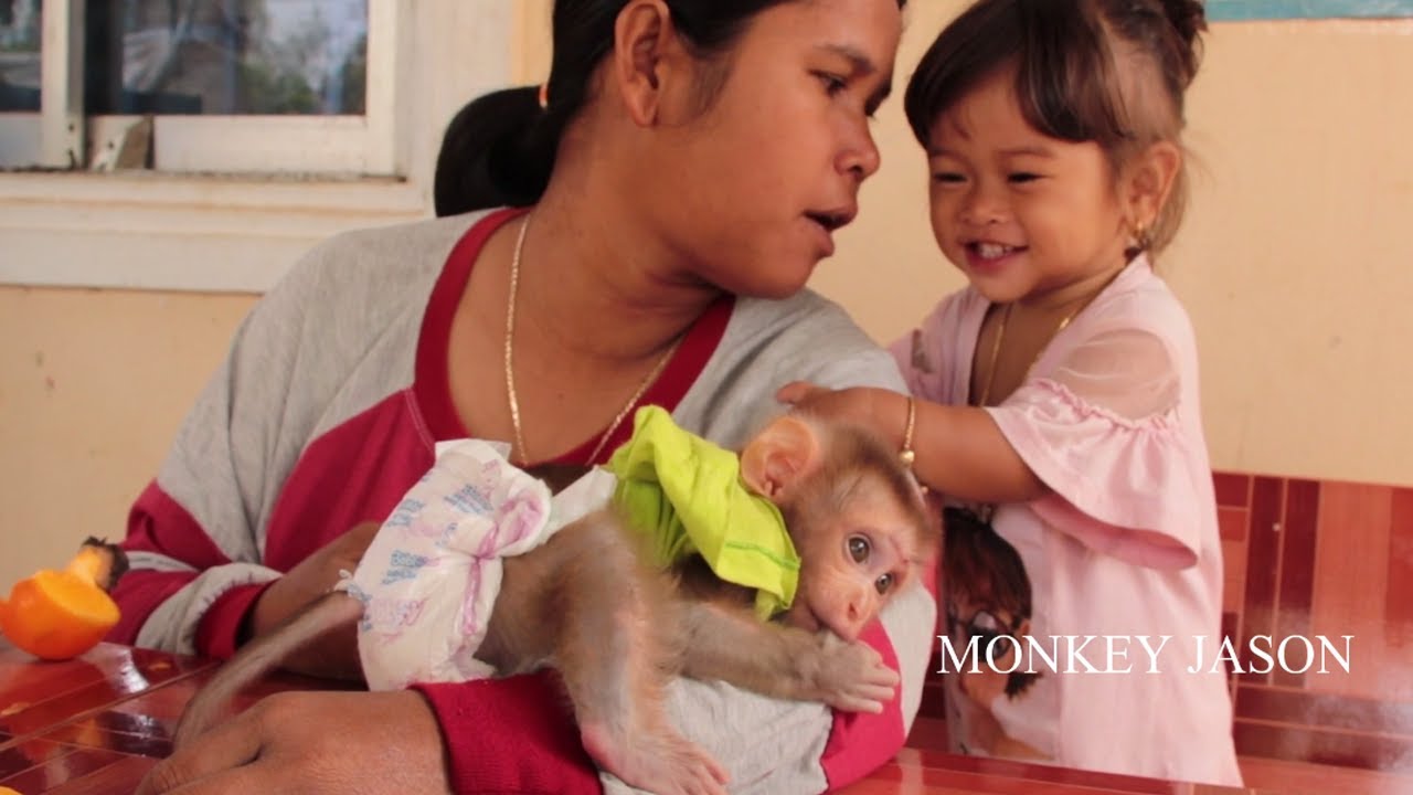 Monkey Jason Cling To Hug Mom After Screaming And Sobbing Request Mom ...