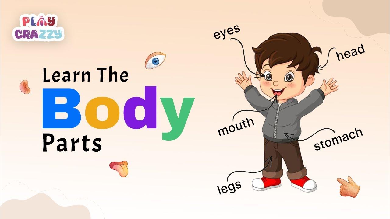 Body Parts | Learn The Body Parts| Toddler Learning Video | Body Parts ...